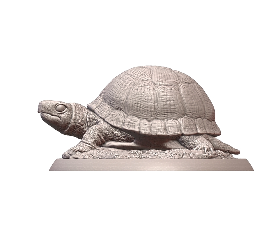 STL file Turtle・3D print model to download・Cults